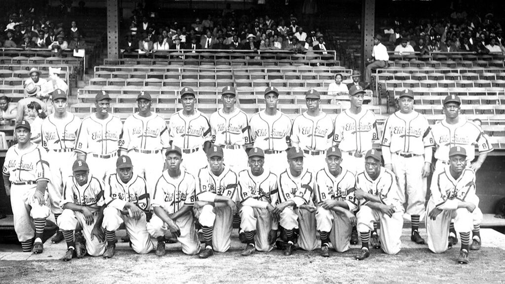 Baltimore Elite Giants Apparel & Clothing | NLBM | Teambrown Apparel